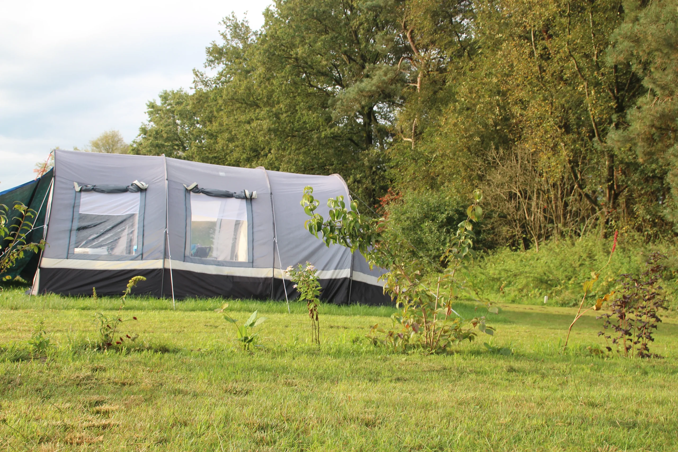Natuurcamping De Boerenzwaluw | Camping In Beerzerveld